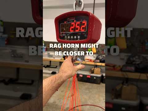 How Much Does A Bull Weigh? - Rich- Farmer