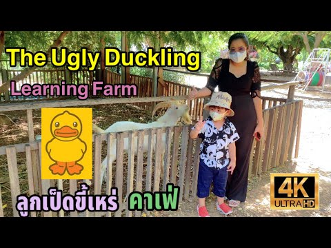 The Ugly Duckling Learning Farm | ลูกเป็ดขี้เหร่ คาเฟ่ กำแพงแสน จ.นครปฐม