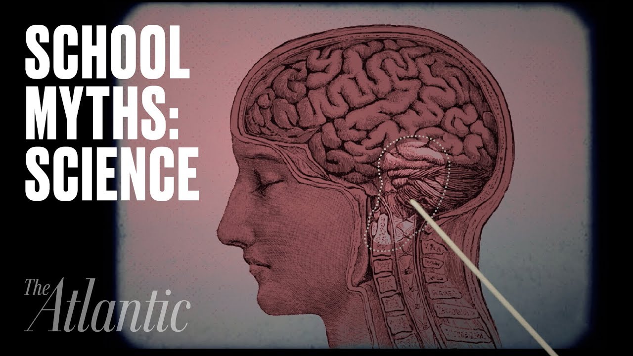 Common Misconceptions About the Human Body