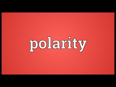 Polarity Meaning