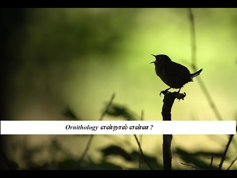 Ornithology என்றால் என்ன ? What Is the Meaning of Ornithology ? | Tamil