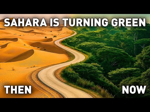 The Sahara Is Turning Green—Is History Repeating Itself?