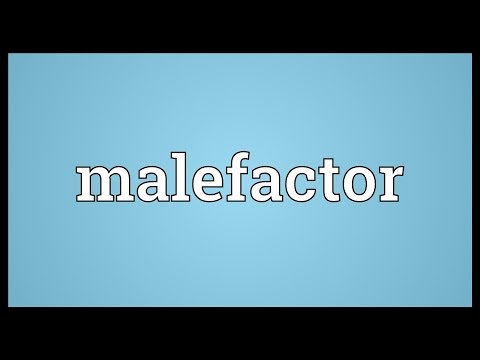 Malefactor Meaning