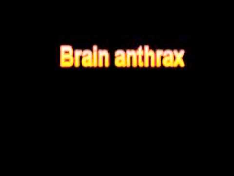 What Is The Definition Of Brain anthrax Medical Dictionary Free Online
