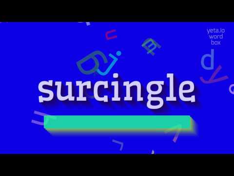 SURCINGLE - HOW TO PRONOUNCE IT? #surcingle