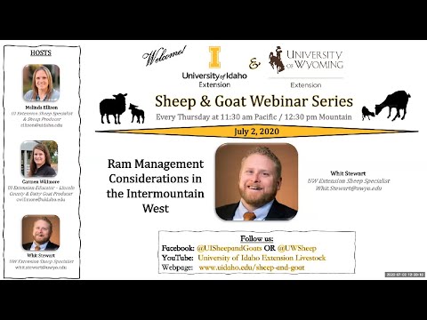 Ram Management Considerations in the Intermountain West -UI&UW Extension Sheep & Goat Webinar Series