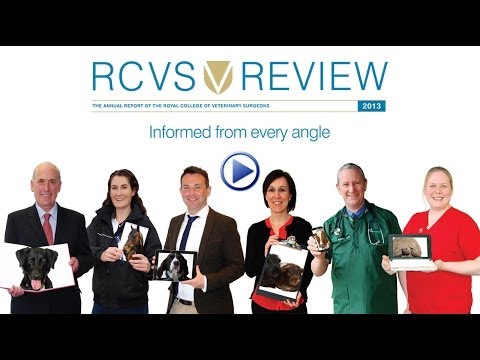 RCVS Review 2013 - Informed from every angle