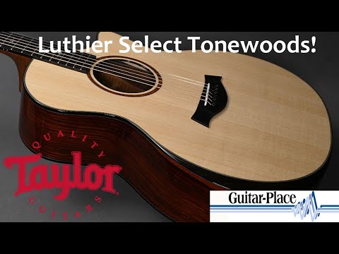 The best Taylor Guitar we ever had? - Taylor GA Custom Cocobolo & Adirondack