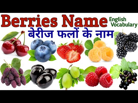Berries name in English & Hindi | बेरीज के नाम | all Berries l Berry Names in English with Pictures
