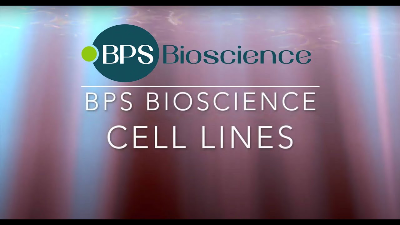 BPS Bioscience Cell Lines