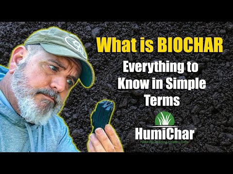 What is Biochar - How Biochar Works