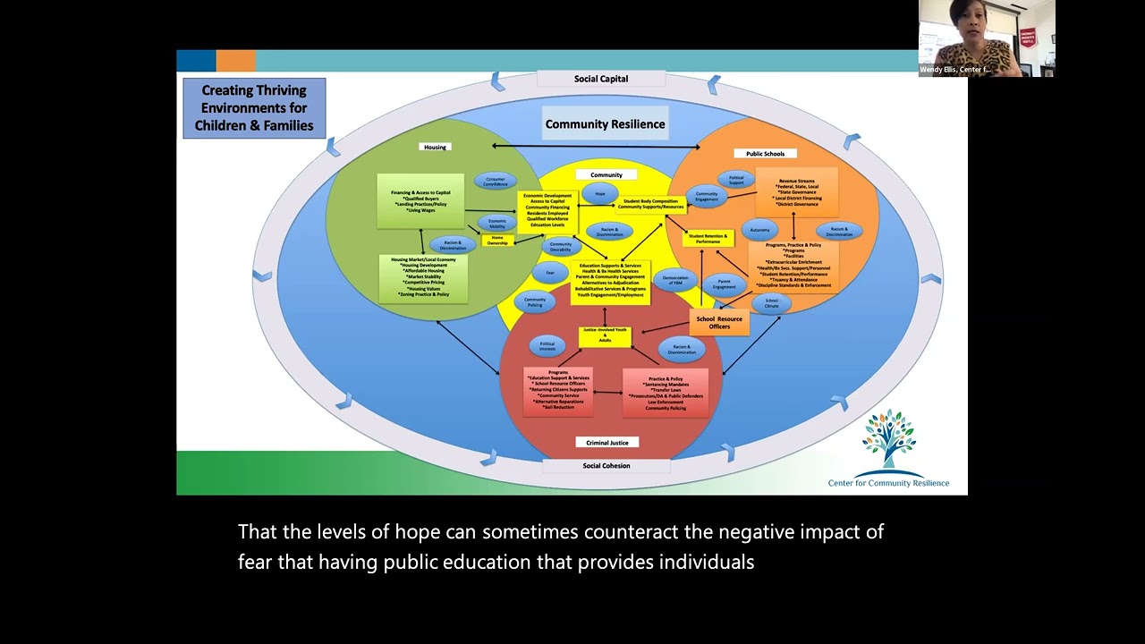 Resilience Tree Webinar