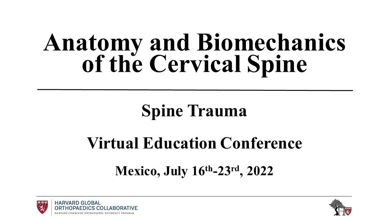 Anatomy and Biomechanics of the Cervical Spine