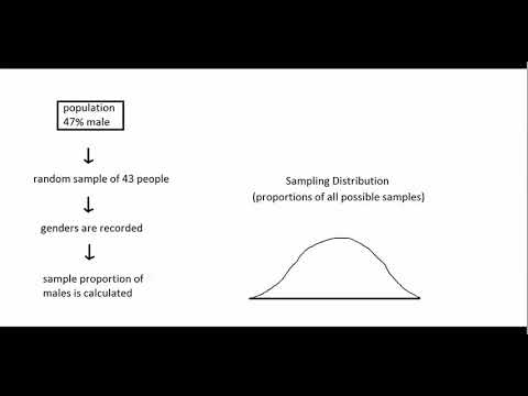 Margin of Error