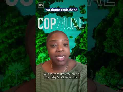 All you need to know about the first week of COP28 🌏️