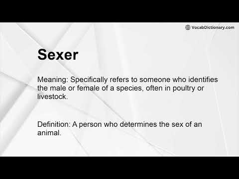 Sexer Meaning