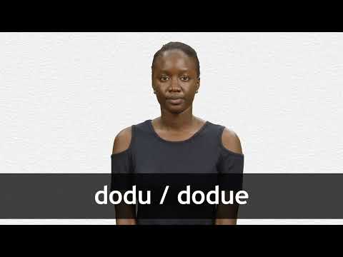 English Translation of “DODU” | Collins French-English Dictionary