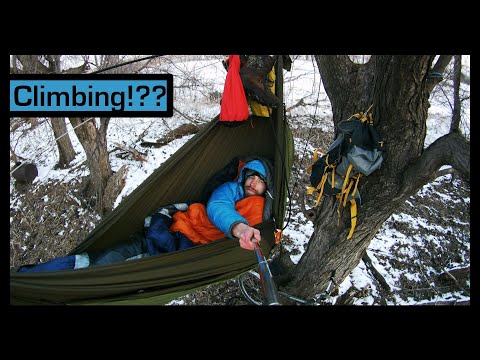 Stealth Tree Camping : ALMOST CAUGHT! – TREEfool