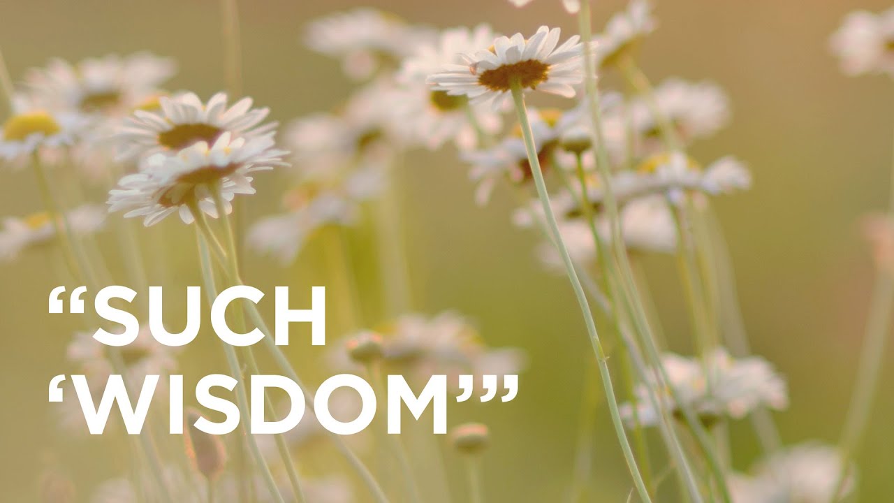 Such Wisdom - 09/20/22