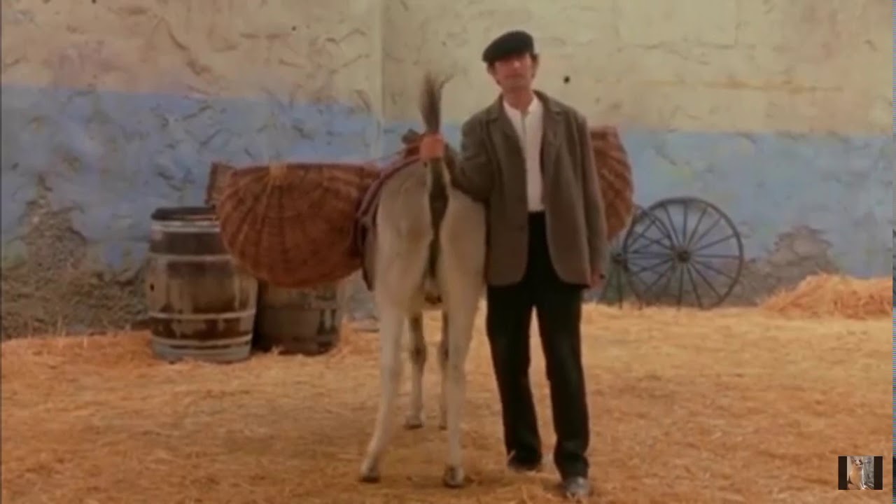 3 guys put kid in donkey’s ass..🙄
