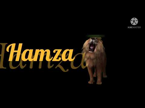 Hamza Name Status