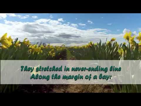 DAFFODILS (William Wordsworth) from ANGLO-AMERICAN LITERATURE