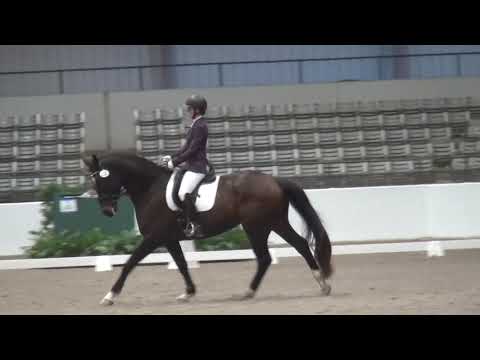 Falkner Training level test 3 77.24%