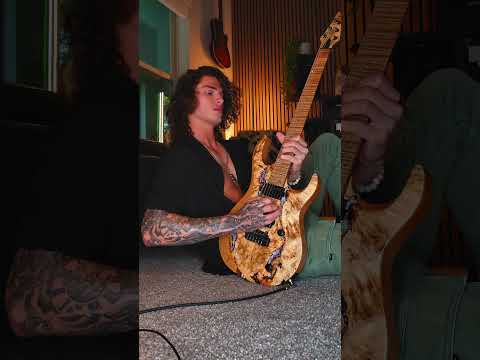Lady Gaga was begging for guitar #guitarcover #ladygaga #music