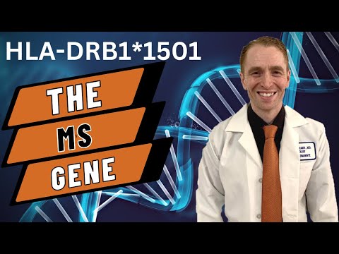 Neurologist Explains The Multiple Sclerosis Gene HLA-DRB1*1501