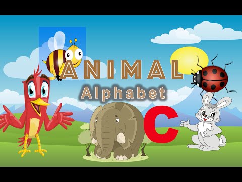 Animal Alphabet C | Learning animals name start with a letter C, A to Z pre-k education, toddlers