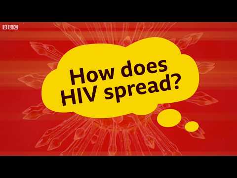 What is HIV? - BBC What's New
