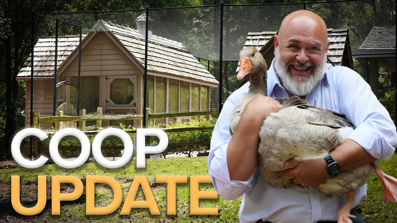 Ultimate Coop Tour + Goose House & Hawk-Proof Bird Netting | Chicken Coop Update