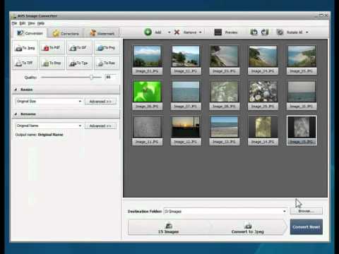 How to resize your photos for printing using AVS Image Converter?