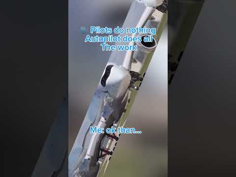 CAN AUTOPILOT DO THIS???!!!!!!! #youtube #aviation #aviationaddict #viralshort #avgeek