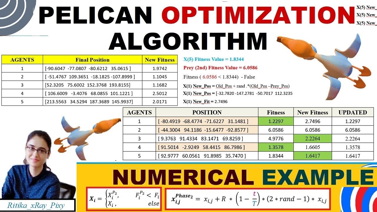 POA Numerical Example || Pelican Optimization Algorithm || ~xRay Pixy