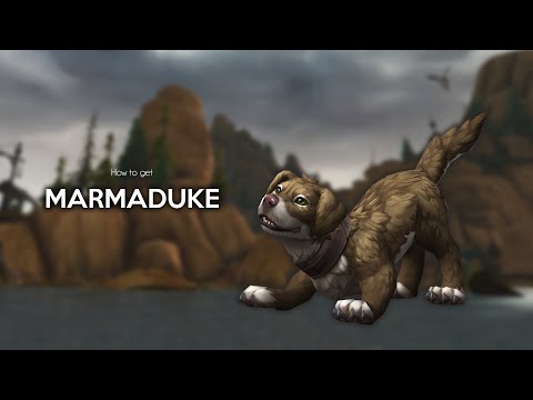 How to get Marmaduke | Siren Isle secret battle pet