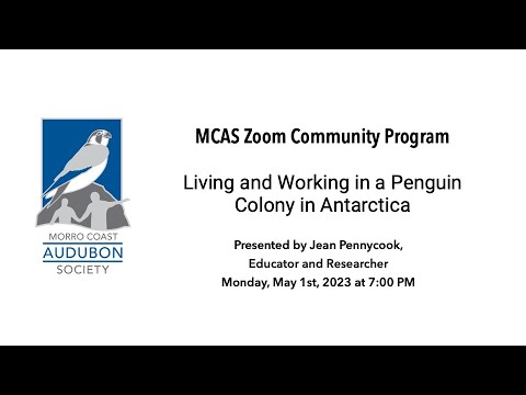 Living and Working in a Penguin Colony in Antarctica presented by Jean Pennycook