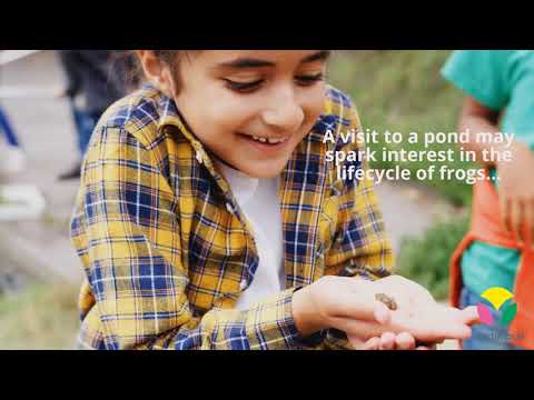 The emergent curriculum in 60 seconds