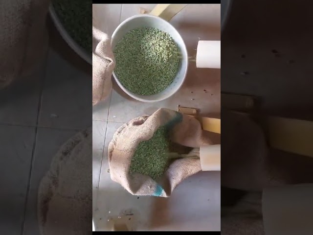 Sorting Machine - Color sorter machine for Yelakai Manufacturer from ...