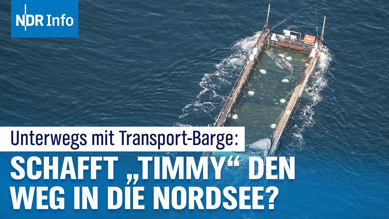 Walrettung Ostsee: 