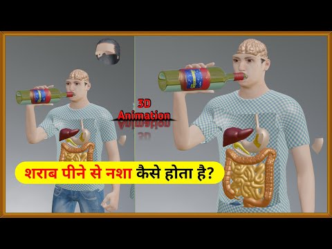 शराब पीने के बाद नशा क्यों होता है | Alcohol | 3D Animation | By - The SCIENCE news #Shorts