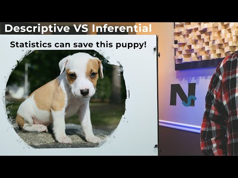 Descriptive vs Inferential Statistics - Video 03