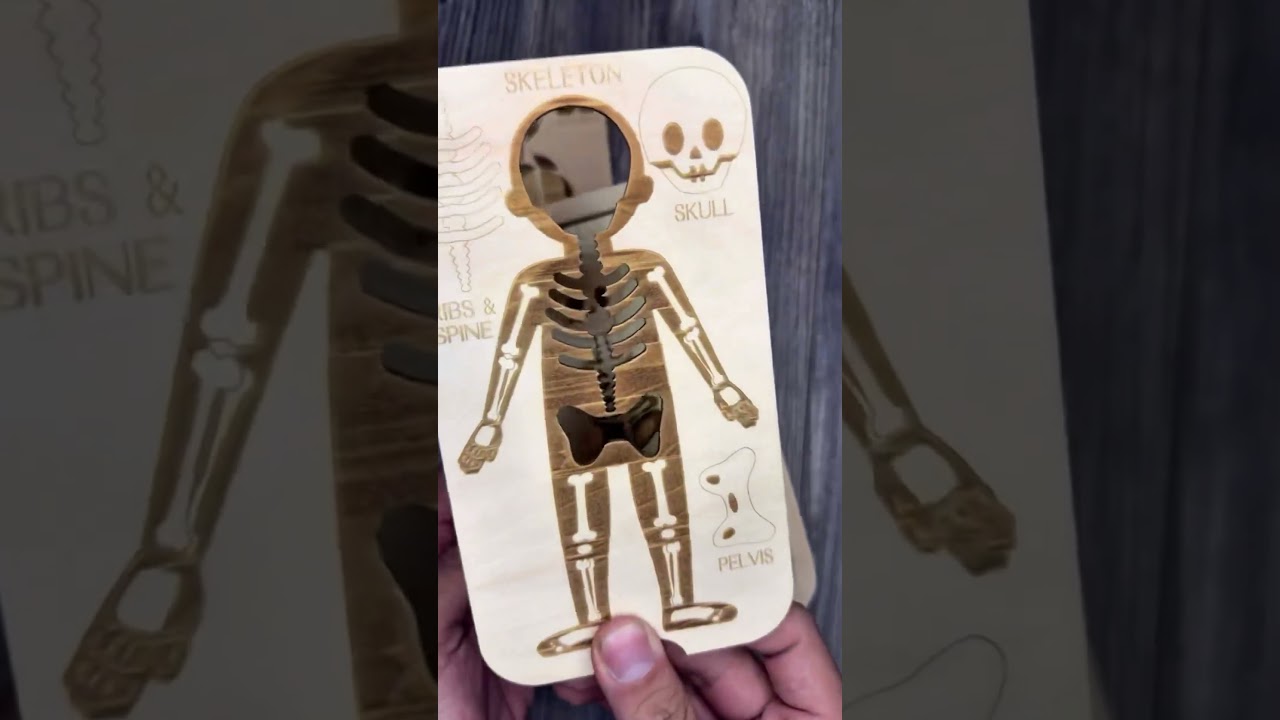 Rompecabezas de Madera en Capas Cuerpo Humano #libelulamx #woodentoys #juguetesdemadera
