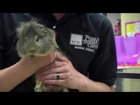Inside Animal Science