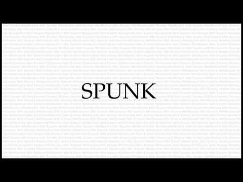 SPUNK Meaning - The Secret Language of Rogues