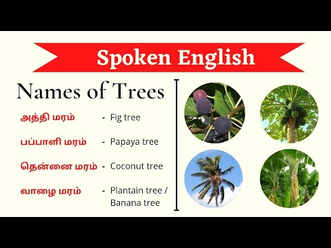Tree names in Tamil and English with pictures || Spoken English for beginners || Ultramind