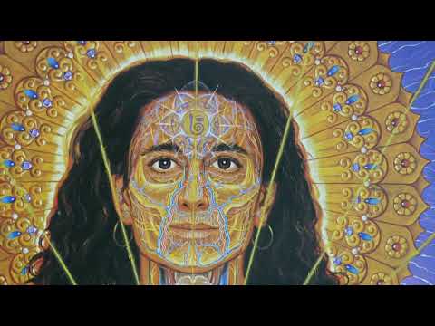 Transfigurations, Alex Grey, book flip through showcase
