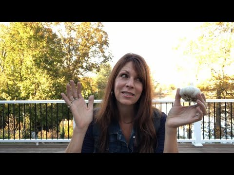 How to Plant Garlic & Shallots | Filaree Garlic Farm Review