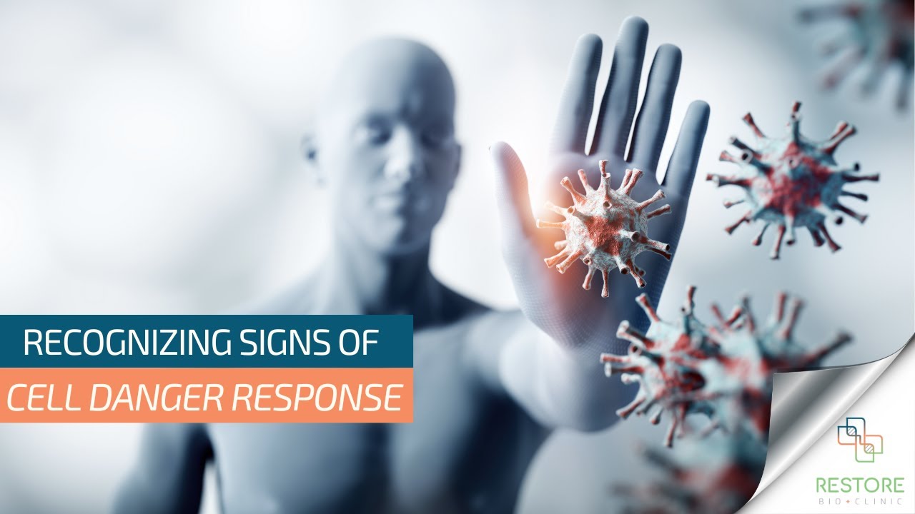 Understanding Cell Danger Response: Recognizing the Signs | Galaxy.ai