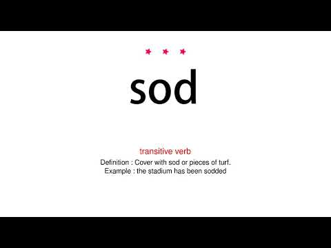 How to pronounce sod - Vocab Today